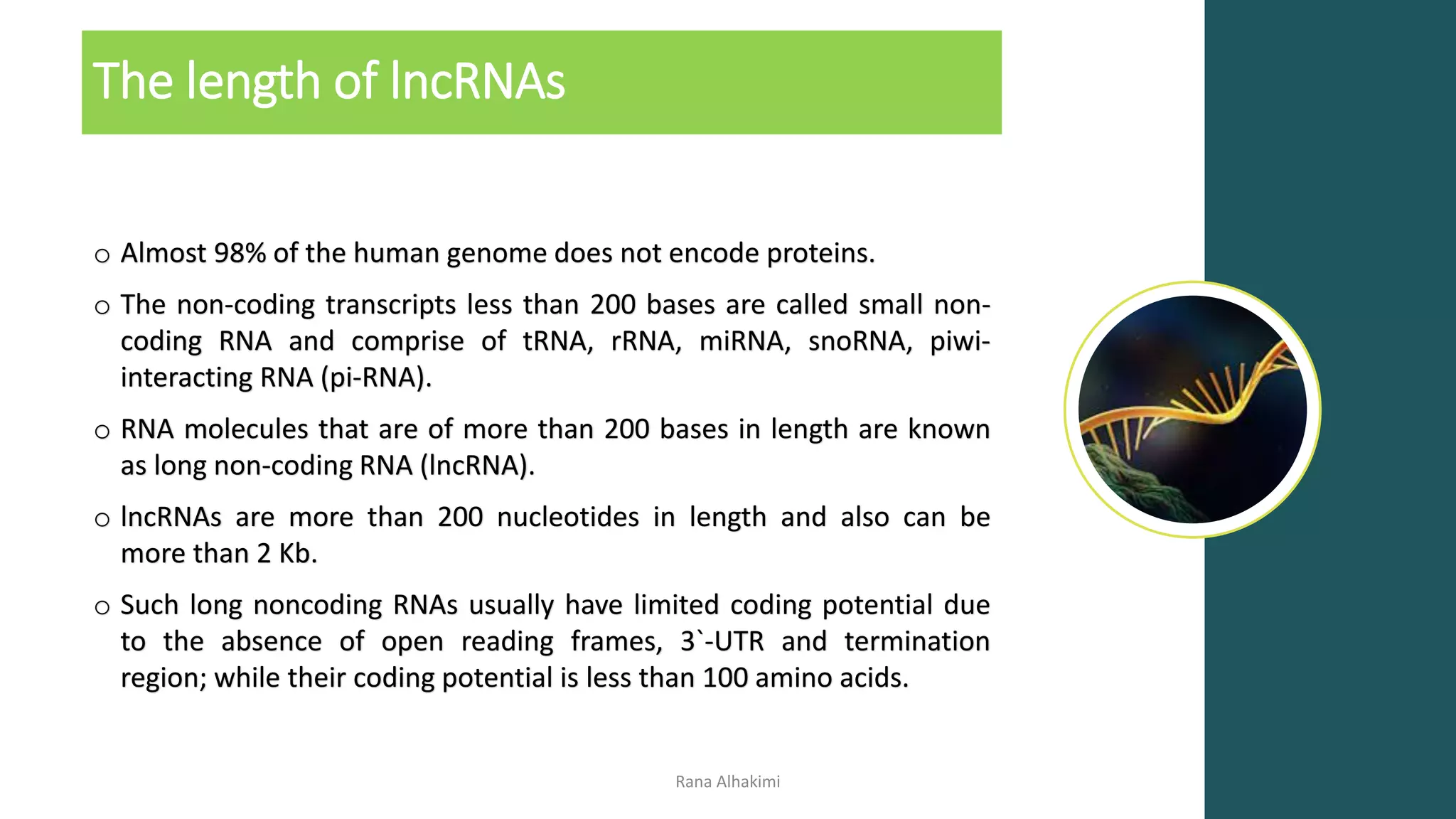 Long non coding RNA lncRNAs | PDF