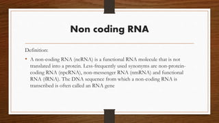 Long non coding rna | PPTX