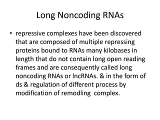 Long Noncoding RNAs.pptx