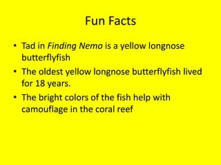 Longnose butterflyfish | PPTX