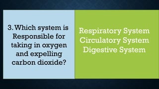 long quiz on respiratory and circulatorypptx | PPTX