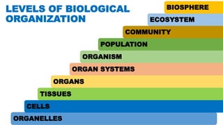 Long quiz preparatory lesson | PPTX