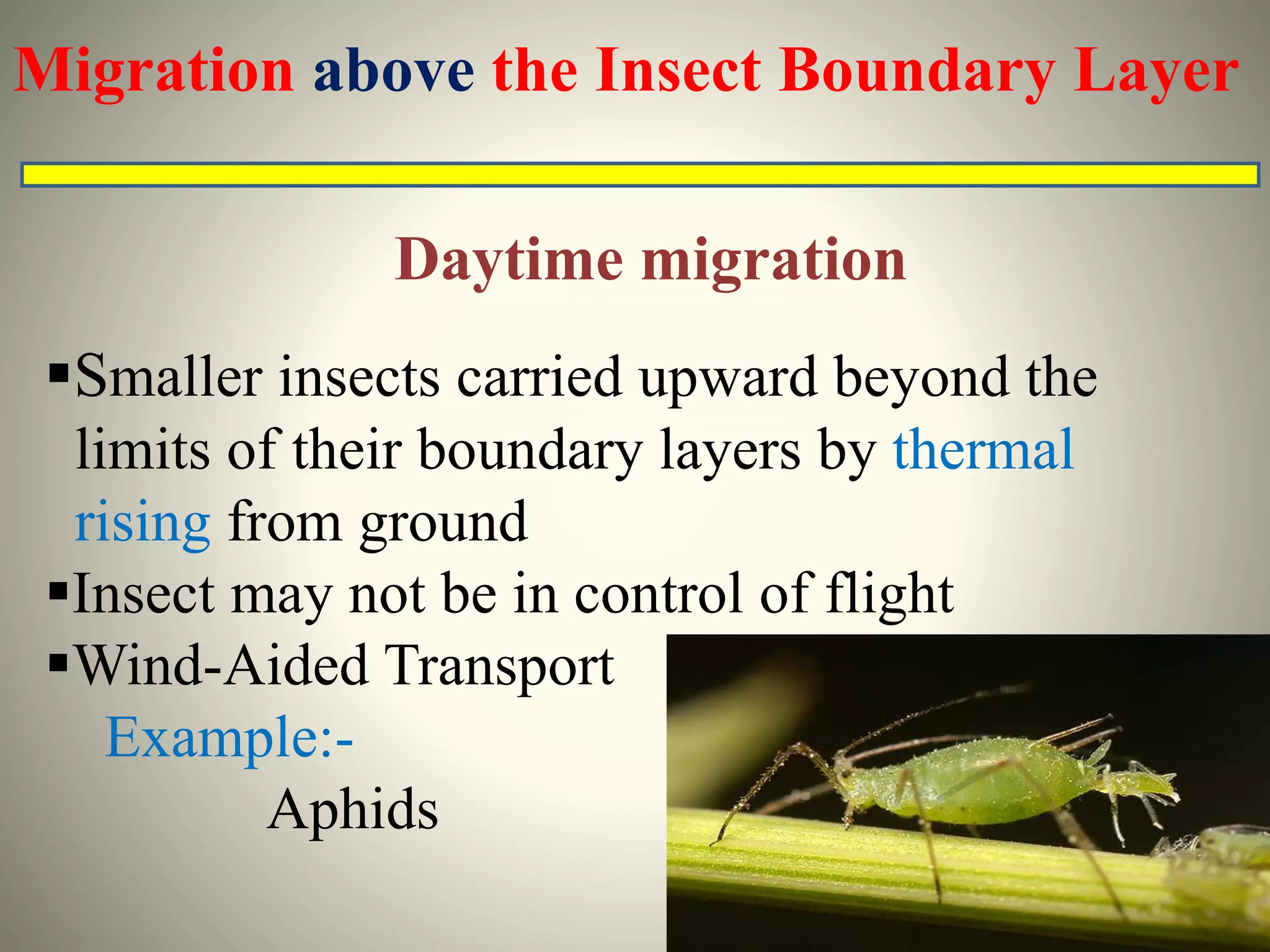 Long-range migration in insects : Mechanisms and monitoring techniques ...