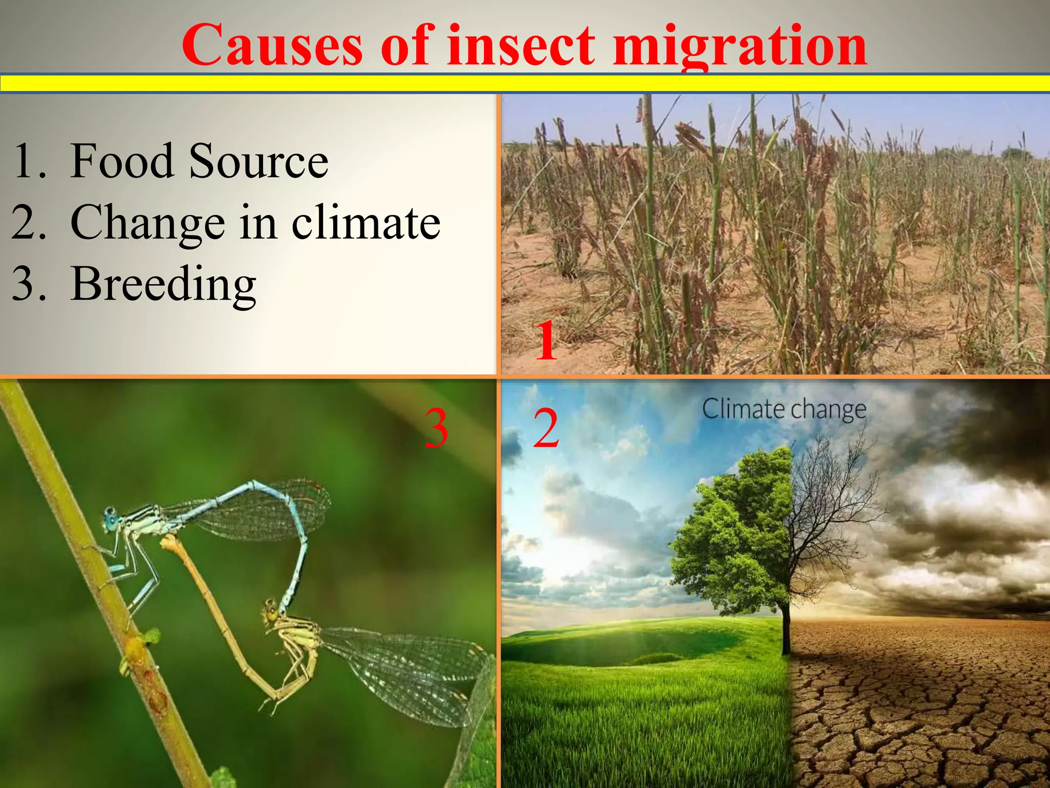 Long-range migration in insects : Mechanisms and monitoring techniques ...