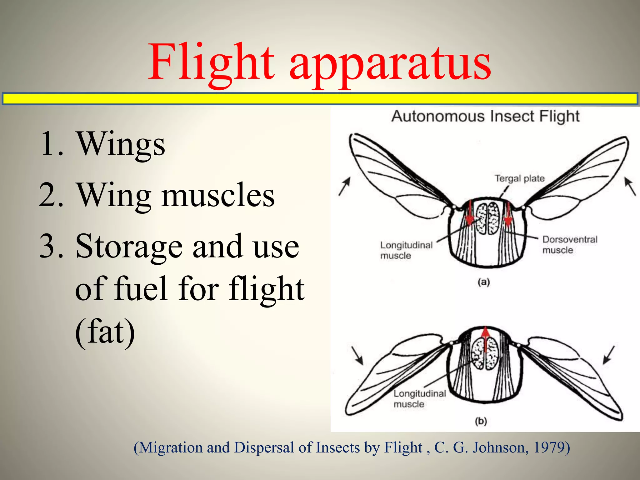 Long-range migration in insects : Mechanisms and monitoring techniques ...