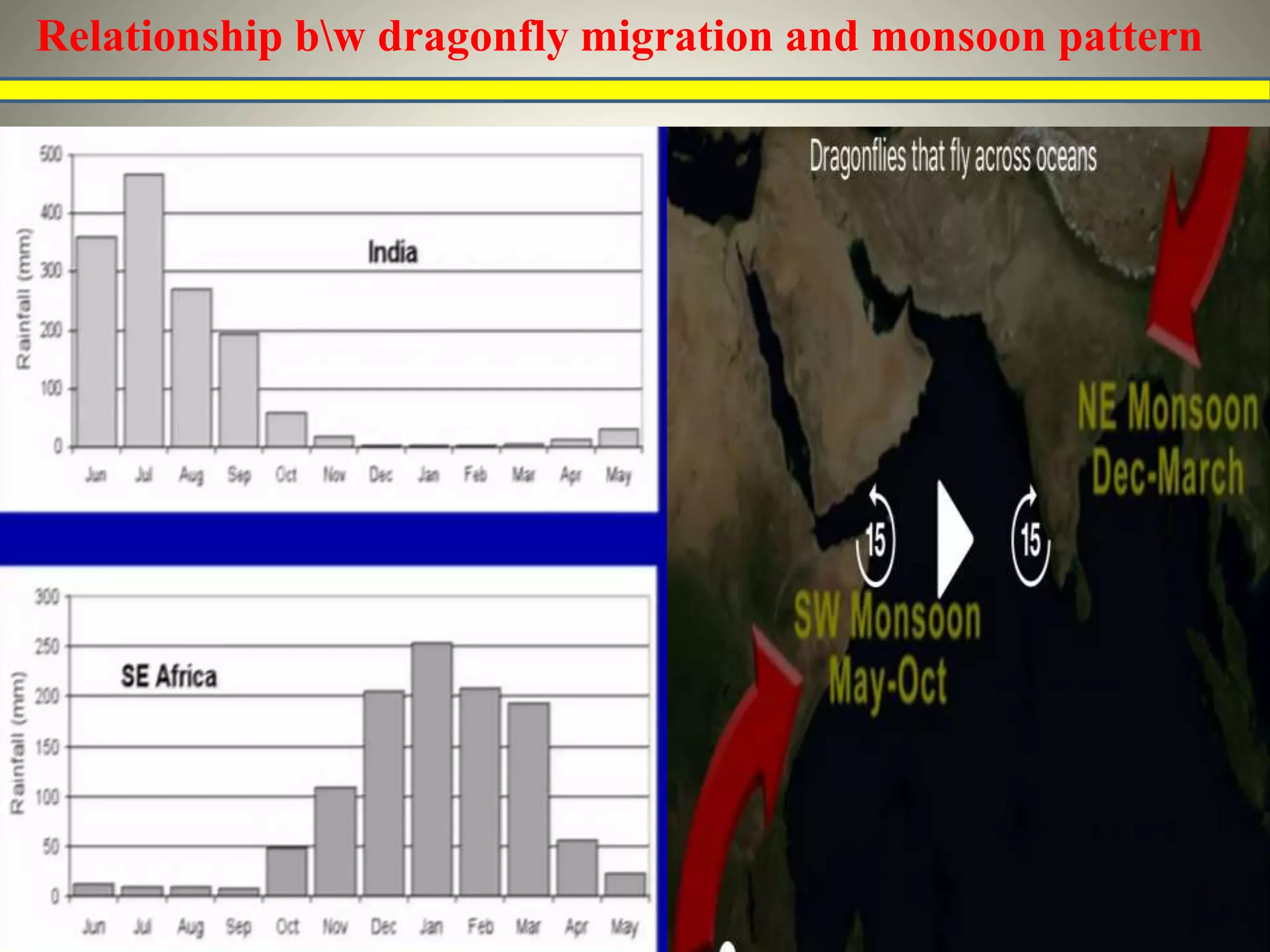 Long-range migration in insects : Mechanisms and monitoring techniques ...