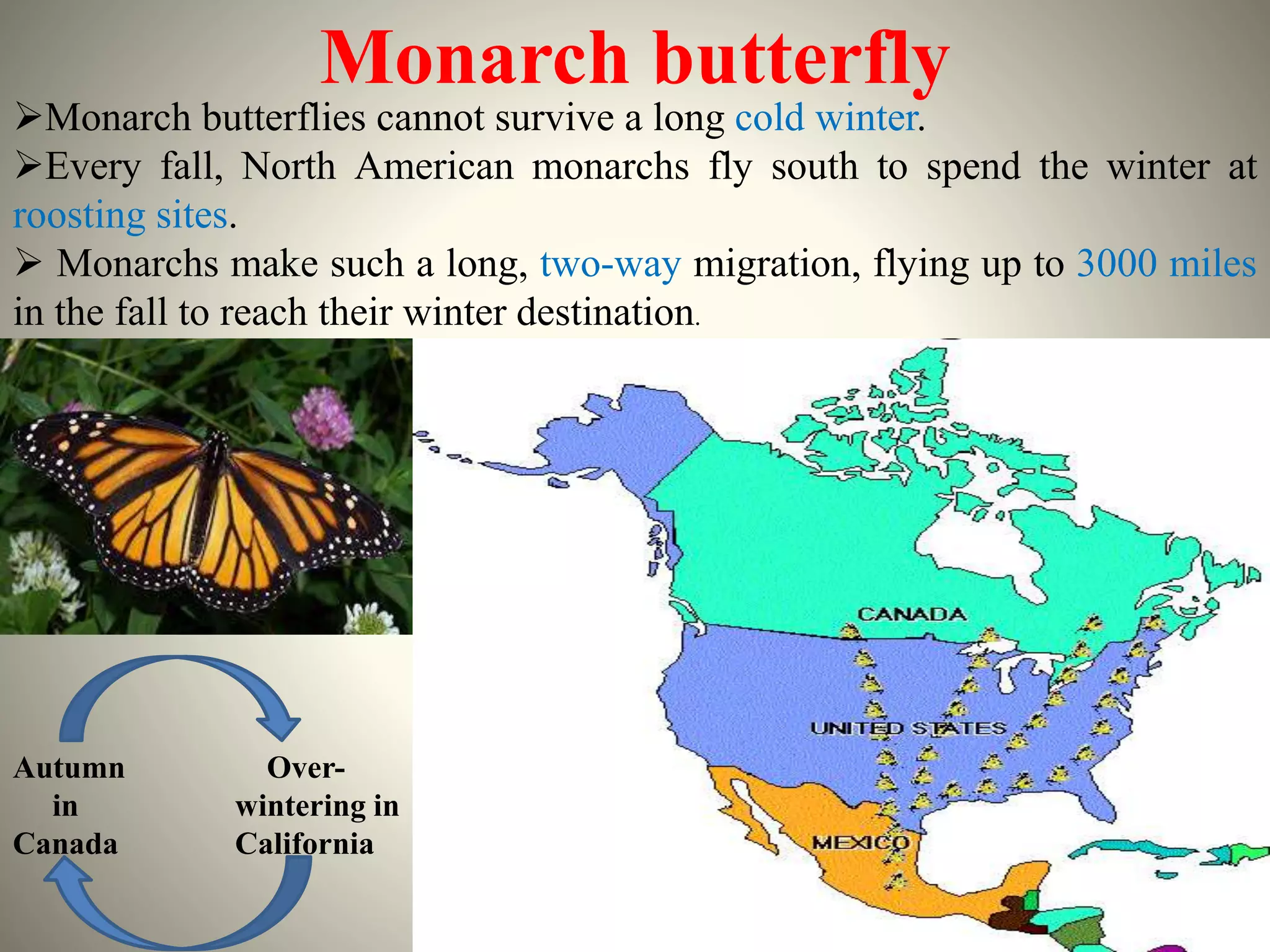 Long-range migration in insects : Mechanisms and monitoring techniques ...
