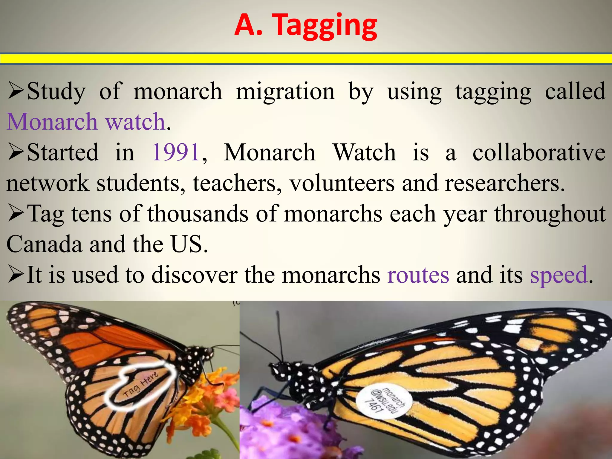 Long-range migration in insects : Mechanisms and monitoring techniques ...