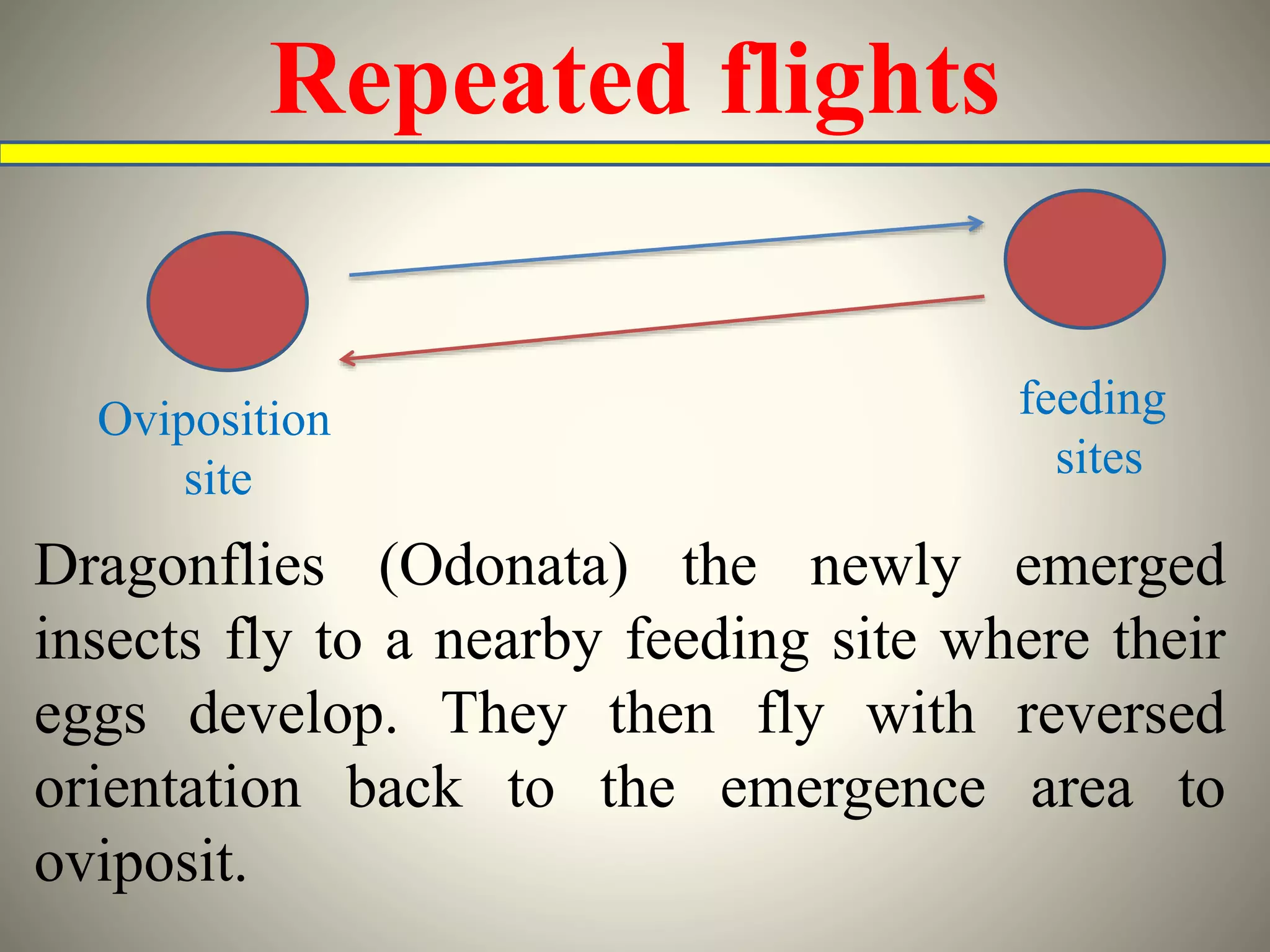 Long-range migration in insects : Mechanisms and monitoring techniques ...