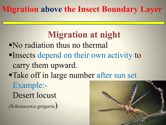 Long-range migration in insects : Mechanisms and monitoring techniques ...