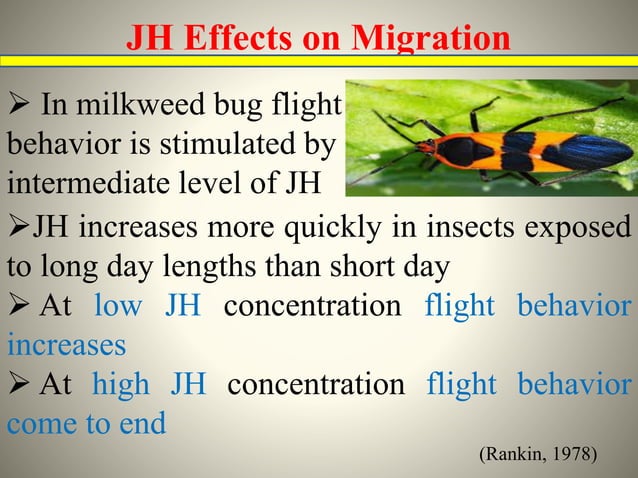 Long-range migration in insects : Mechanisms and monitoring techniques ...