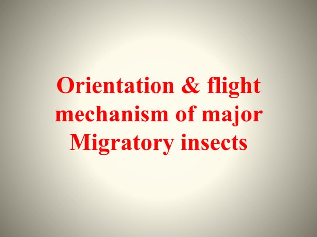 Long-range migration in insects : Mechanisms and monitoring techniques ...