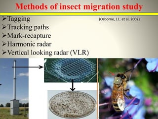 Long-range migration in insects : Mechanisms and monitoring techniques ...