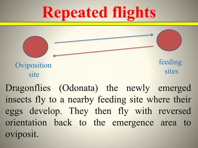 Long-range migration in insects : Mechanisms and monitoring techniques ...