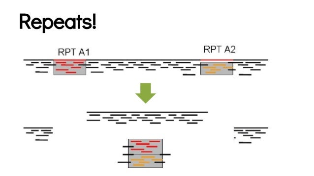 Long Read Sequencing Lscc Lab Talk Fri 5 June 2015 