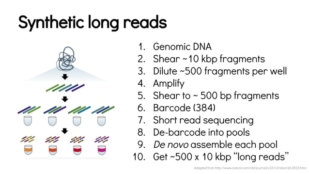 Long read sequencing - WEHI bioinformatics seminar - tue 16 june 2015 | PPT