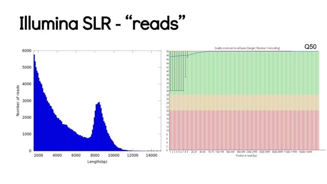Long read sequencing - WEHI bioinformatics seminar - tue 16 june 2015 | PPT