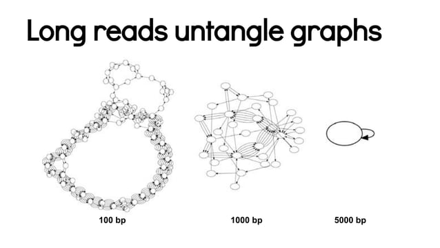 Long read sequencing - WEHI bioinformatics seminar - tue 16 june 2015 | PPT