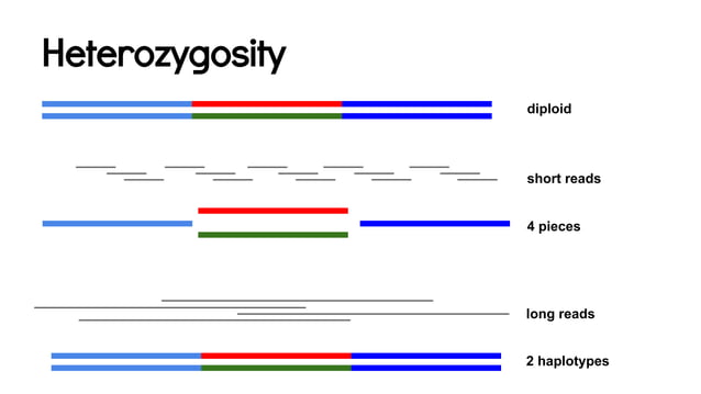 Long read sequencing - WEHI bioinformatics seminar - tue 16 june 2015 | PPT
