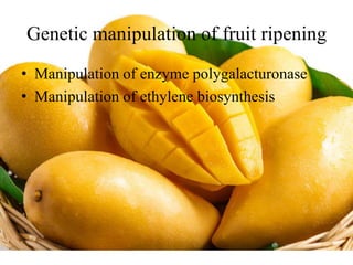 Long self life of fruits and vegetables | PPTX