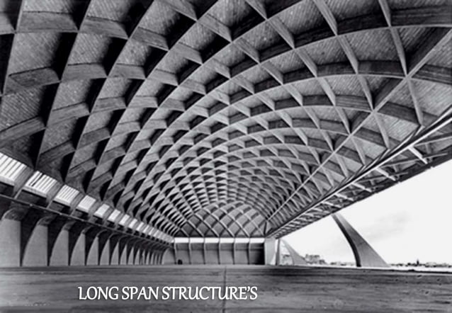 Long span structures | PPTX | Civil Engineering Industry | Industries