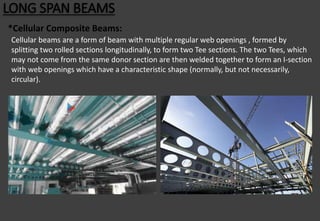 Long span structures | PPTX