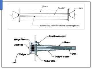 Long Span Structures | PPTX