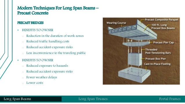 Long span structures in Concrete and Steel