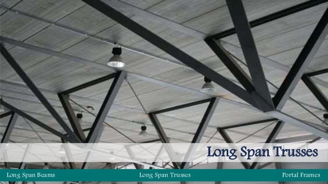 Long span structures in Concrete and Steel