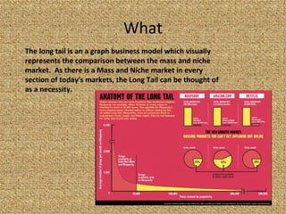 Long Tail Presentation | PPT