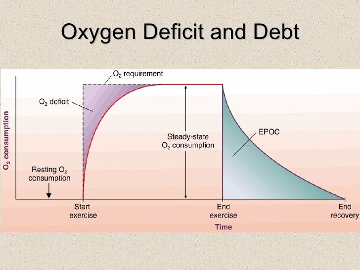 Long term effects of exercise shubham
