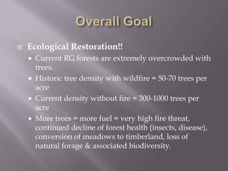 Long Term Forest Management at Royal Gorge | PPT