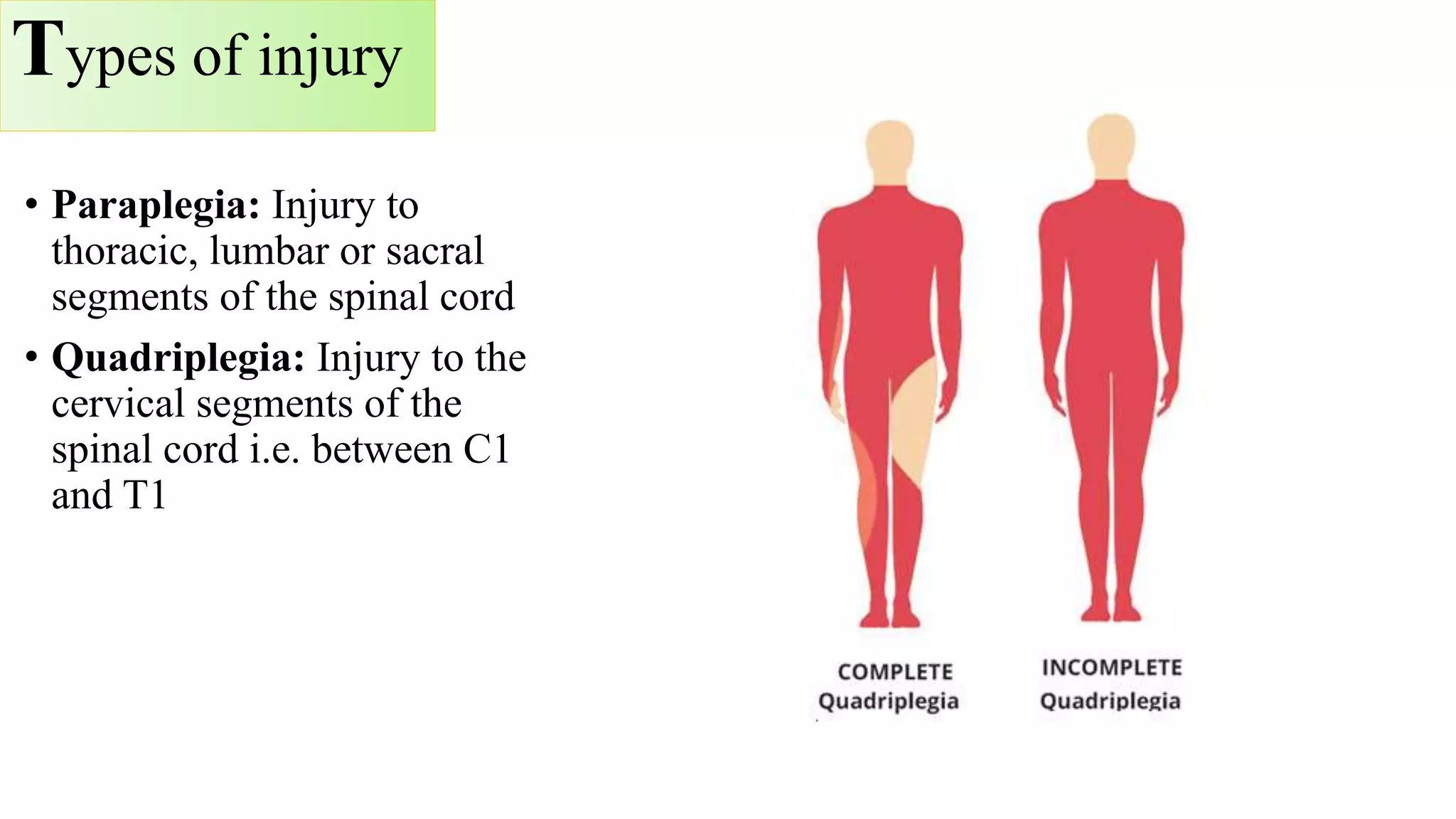 Long term issues in spinal cord injury | PPSX
