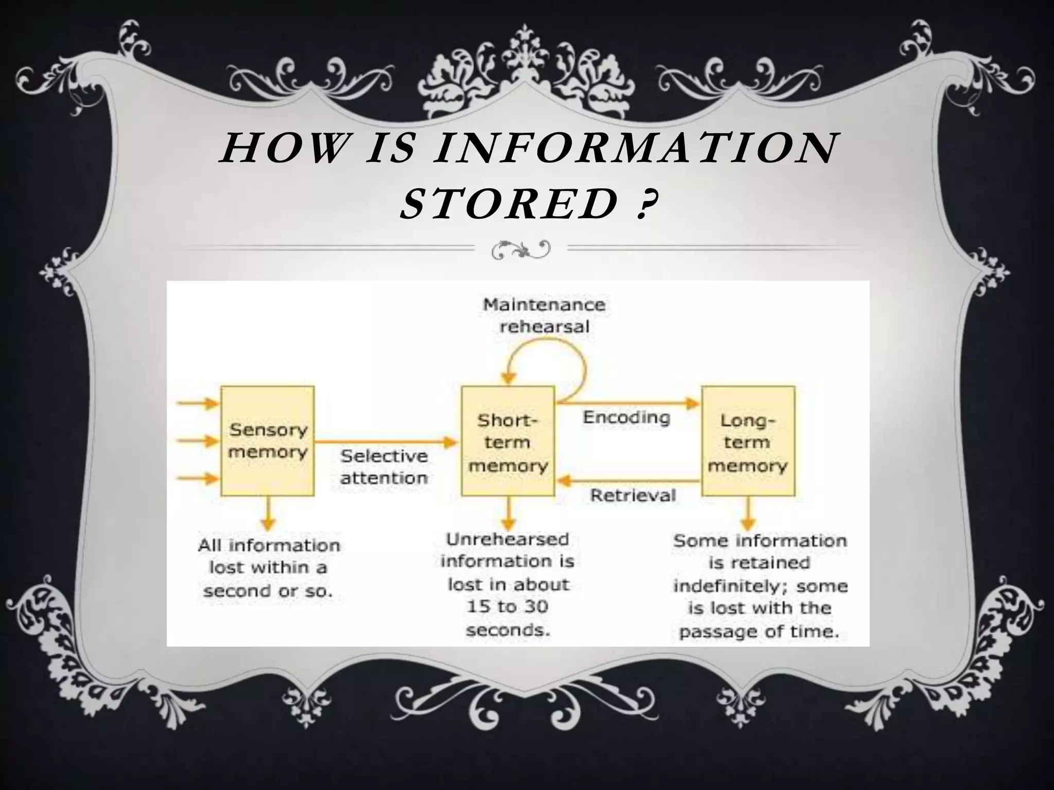 Long term memory | PPTX | Data Storage and Warehousing | Computing