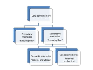 Long term memory testing | PPTX
