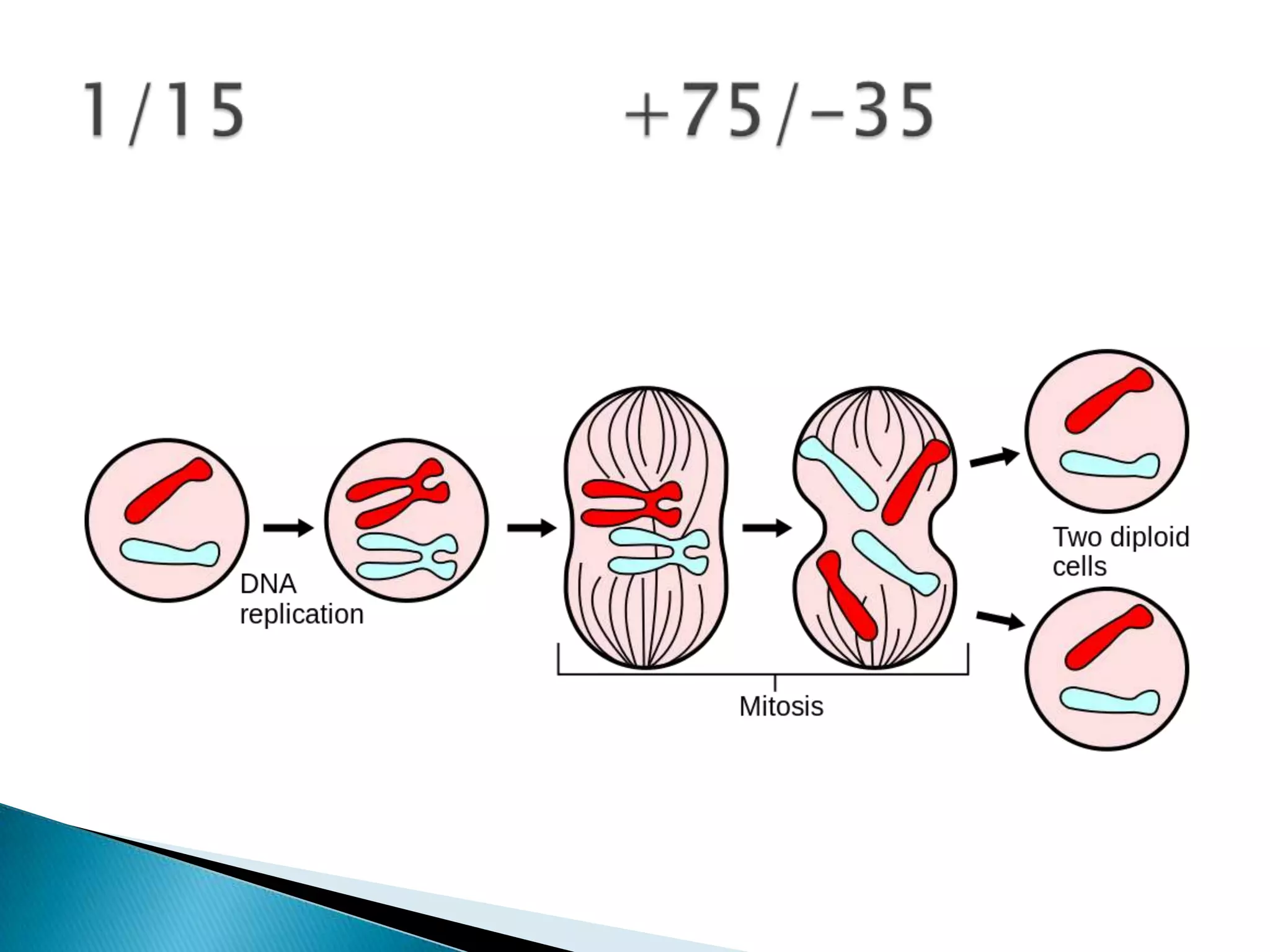 Long visual connect | PPTX