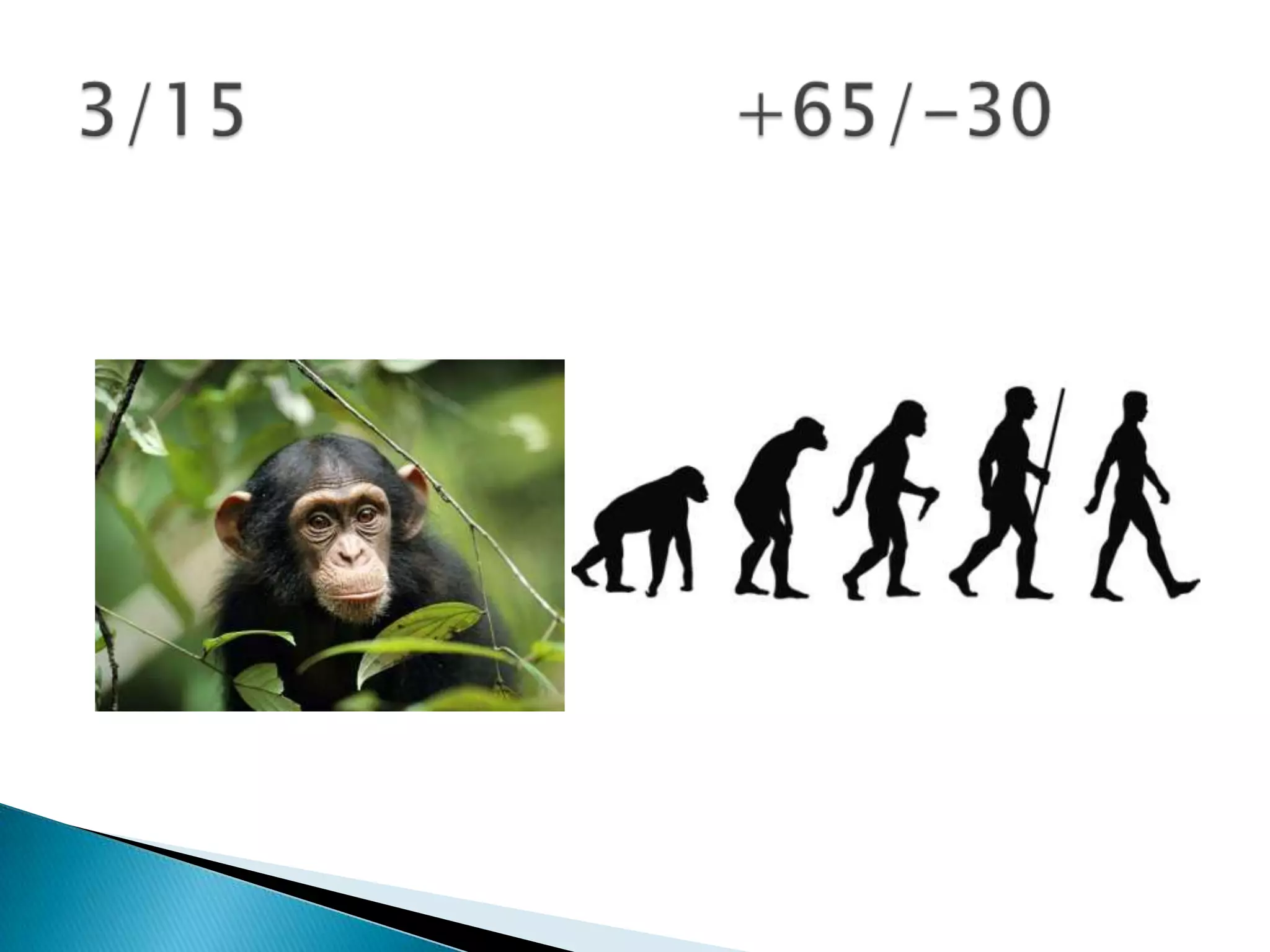 Long visual connect | PPTX