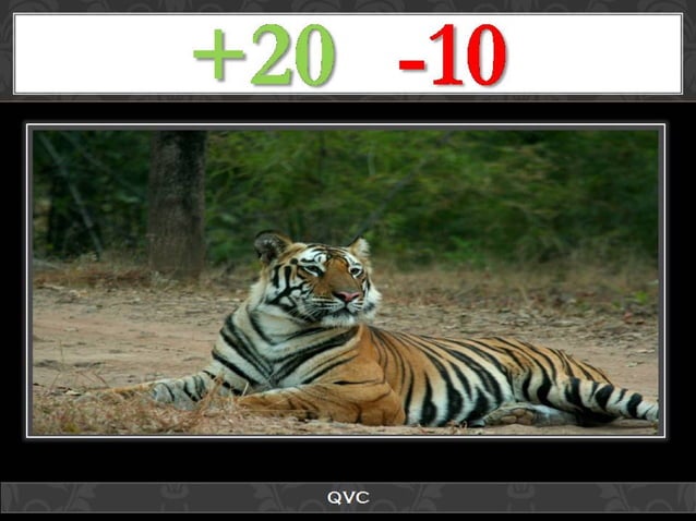 Long visual connect | PPT