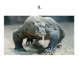 RBEA QUIZ Long visual connect | PPT