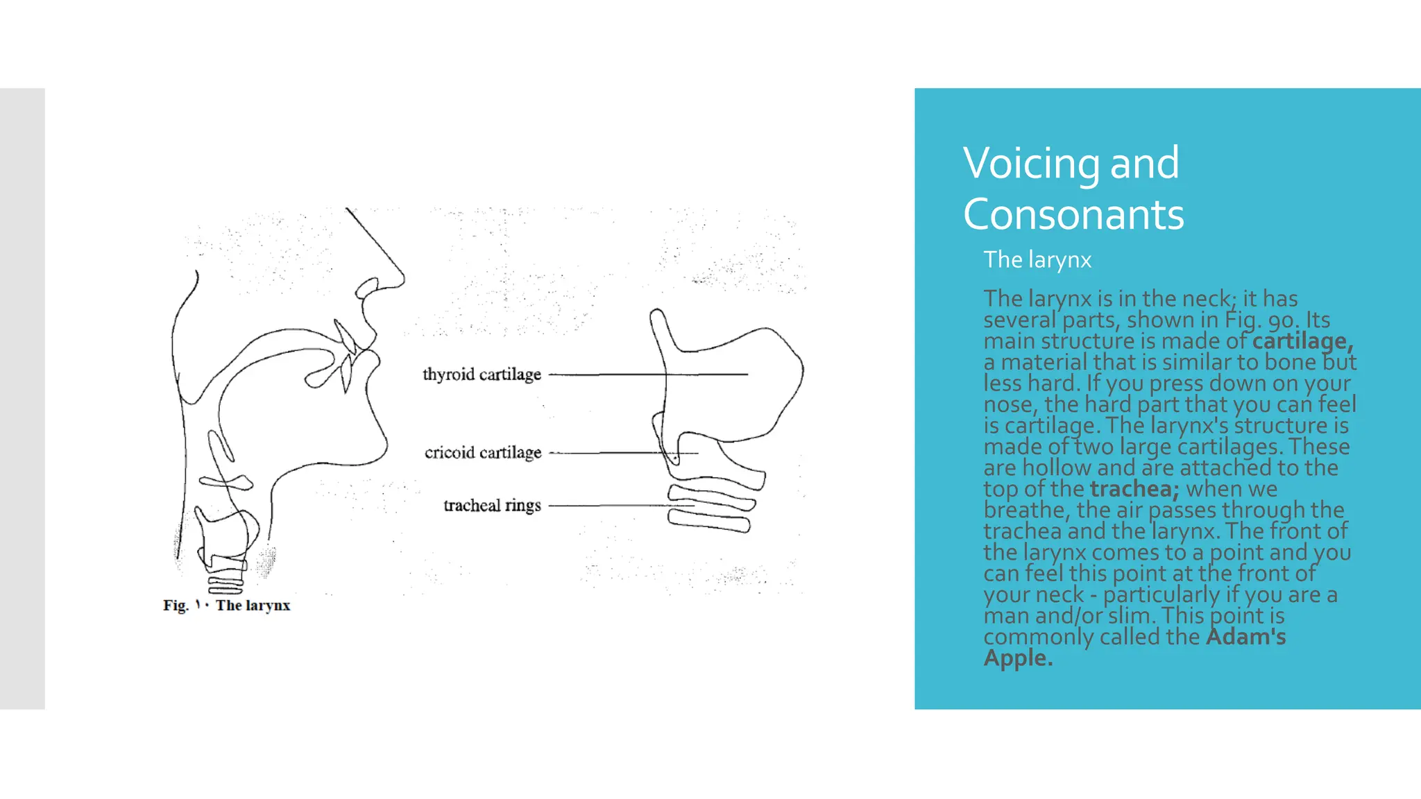 long vowels presentation to introduce the idea | PPTX