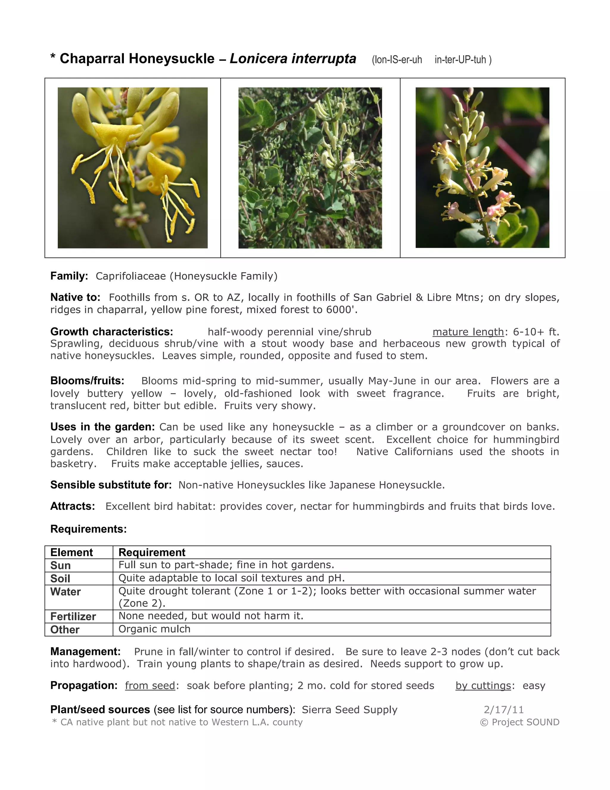 Lonicera interrupta | PDF