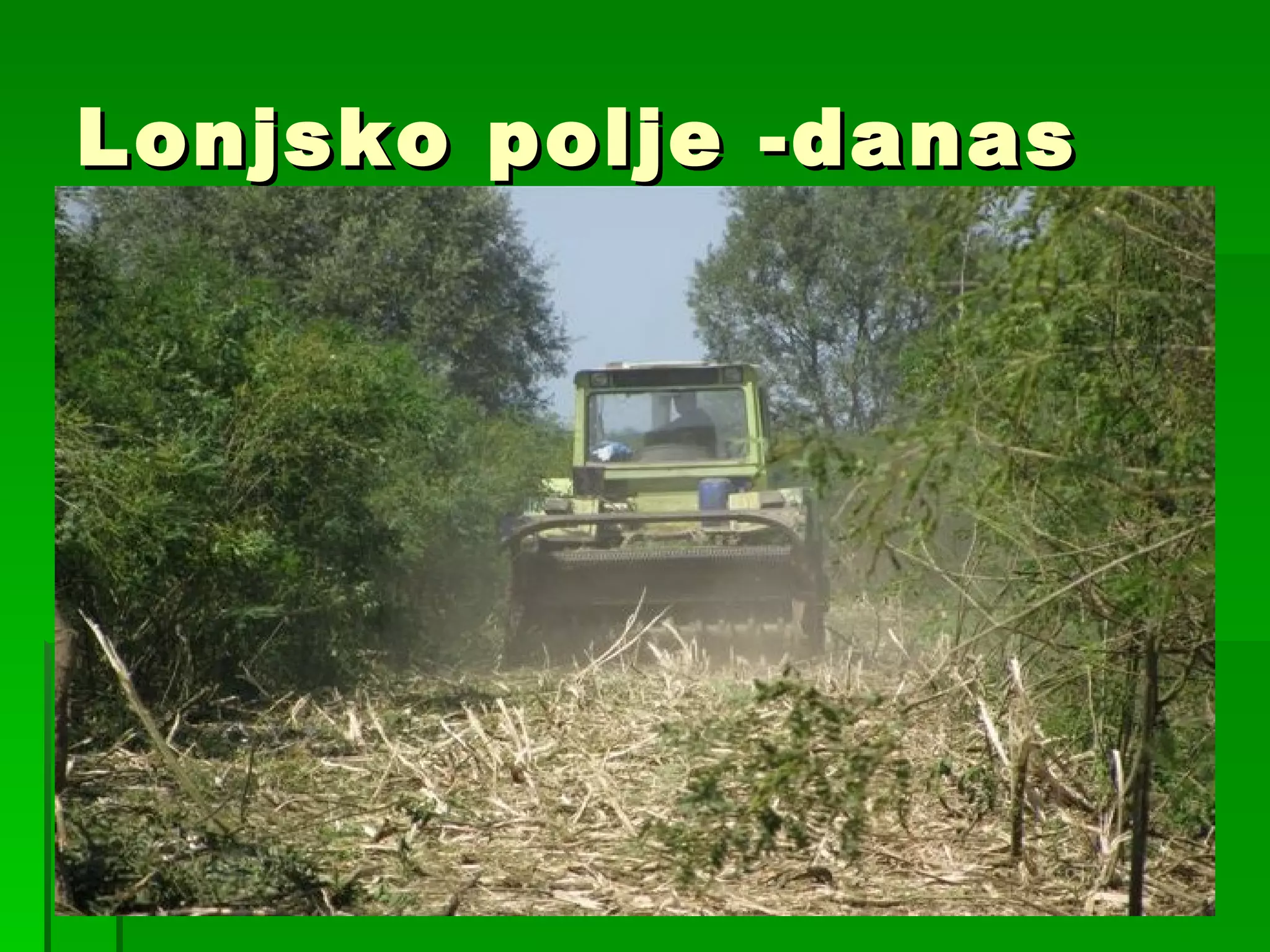 Biologija - Lonjsko polje | PPT
