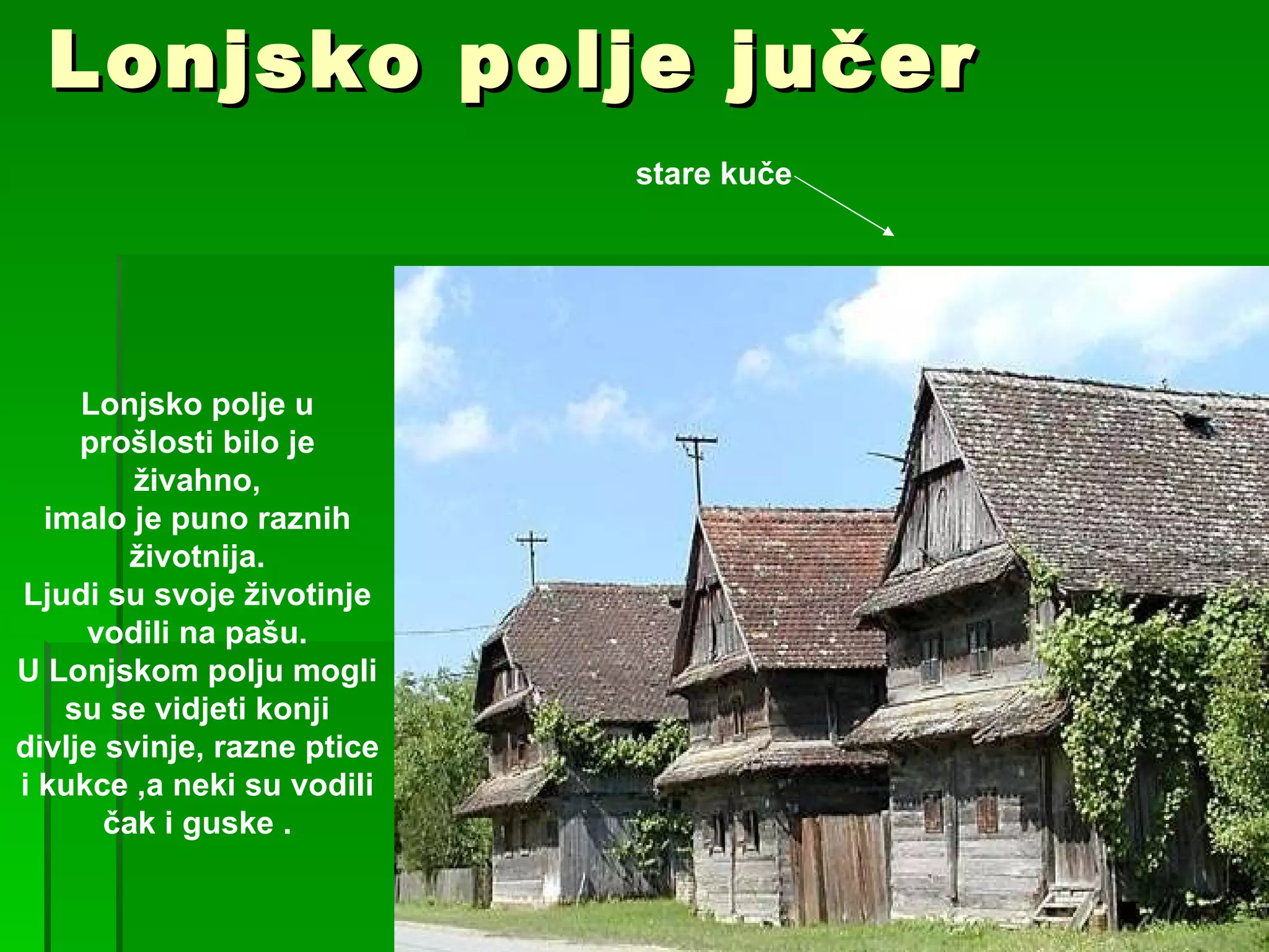 Biologija - Lonjsko polje | PPT