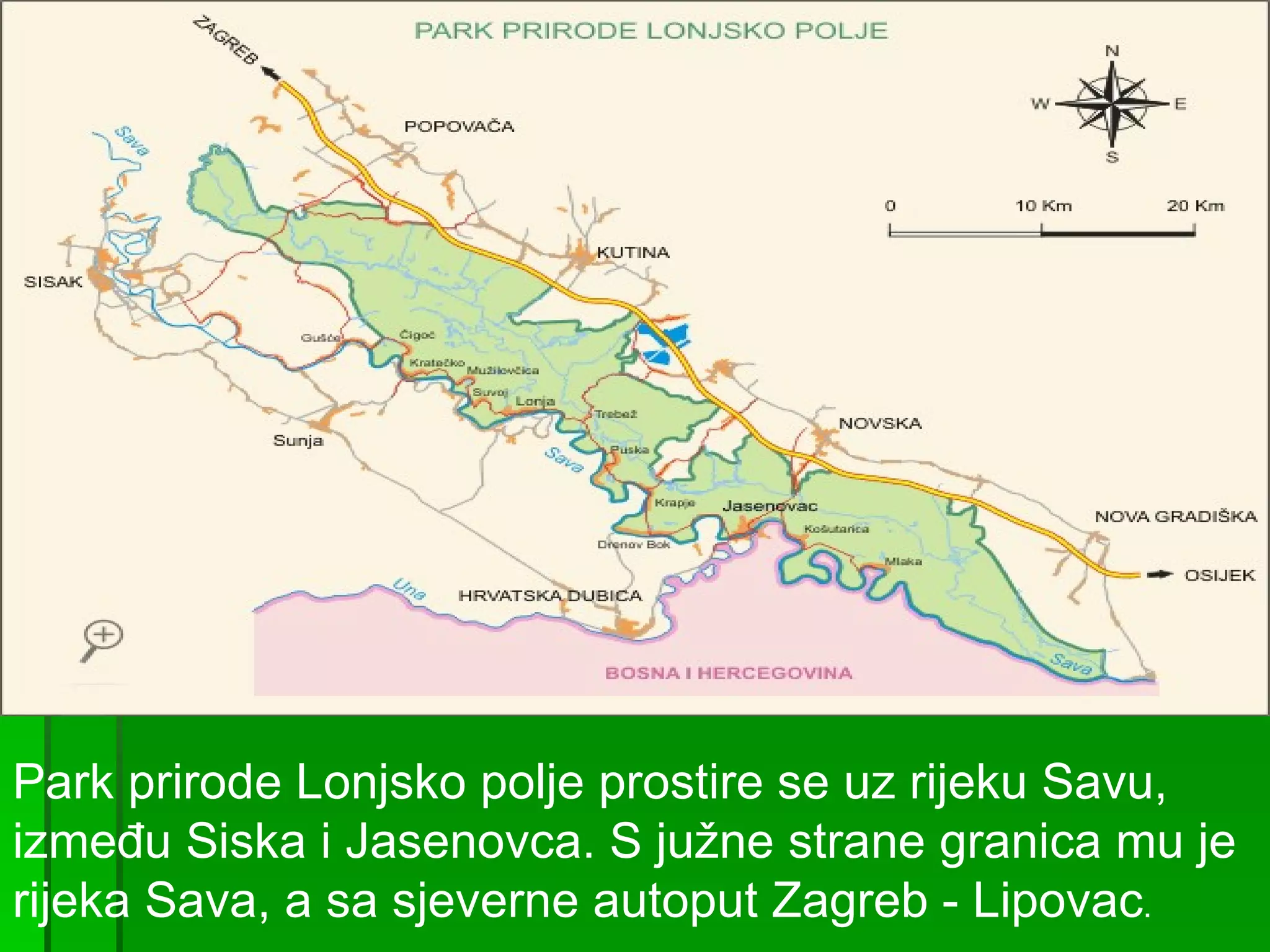 Biologija - Lonjsko polje | PPT