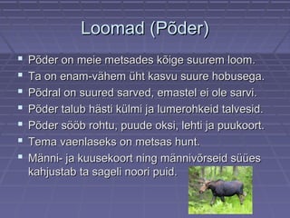 Loodus | PPT