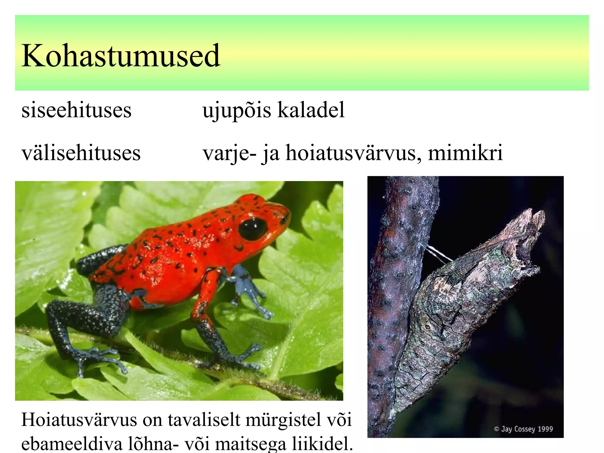 Looduslik valik | PPT