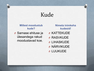 Loodusõpetus | PPTX