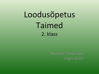 Loodusõpetus taimed 2. klass | PPT
