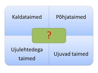 Loodusõpetus taimed 2. klass | PPT