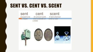 Look alikes english assignment presentation | PPT